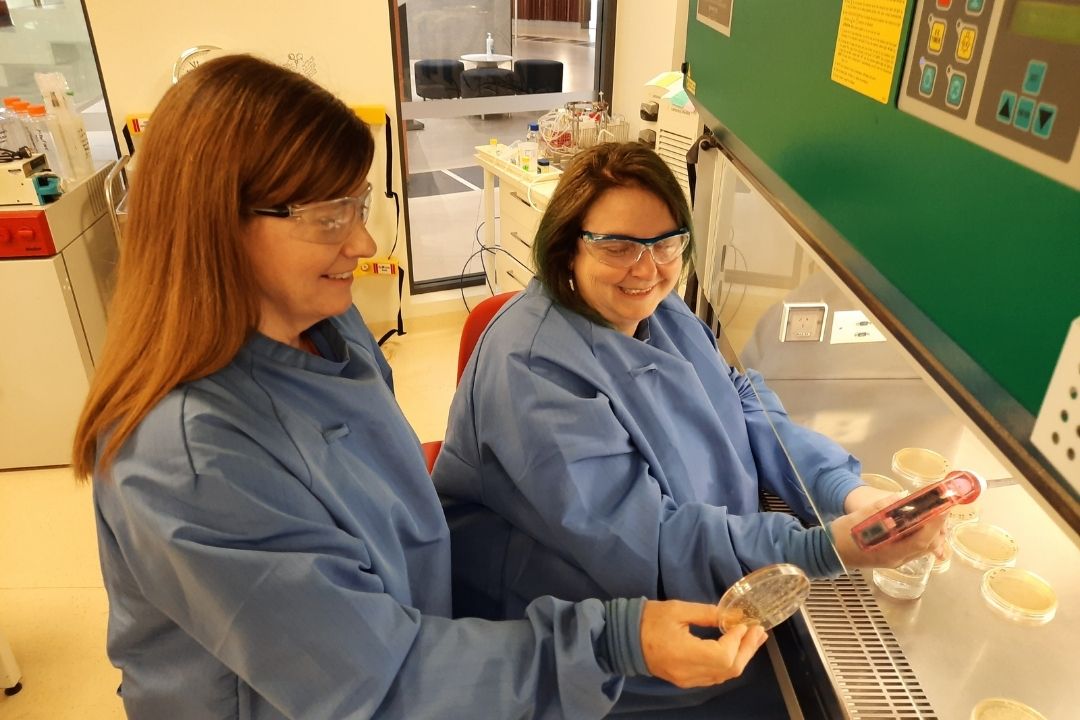 Parramatta Businesses, Start-ups & Innovation | At Parramatta