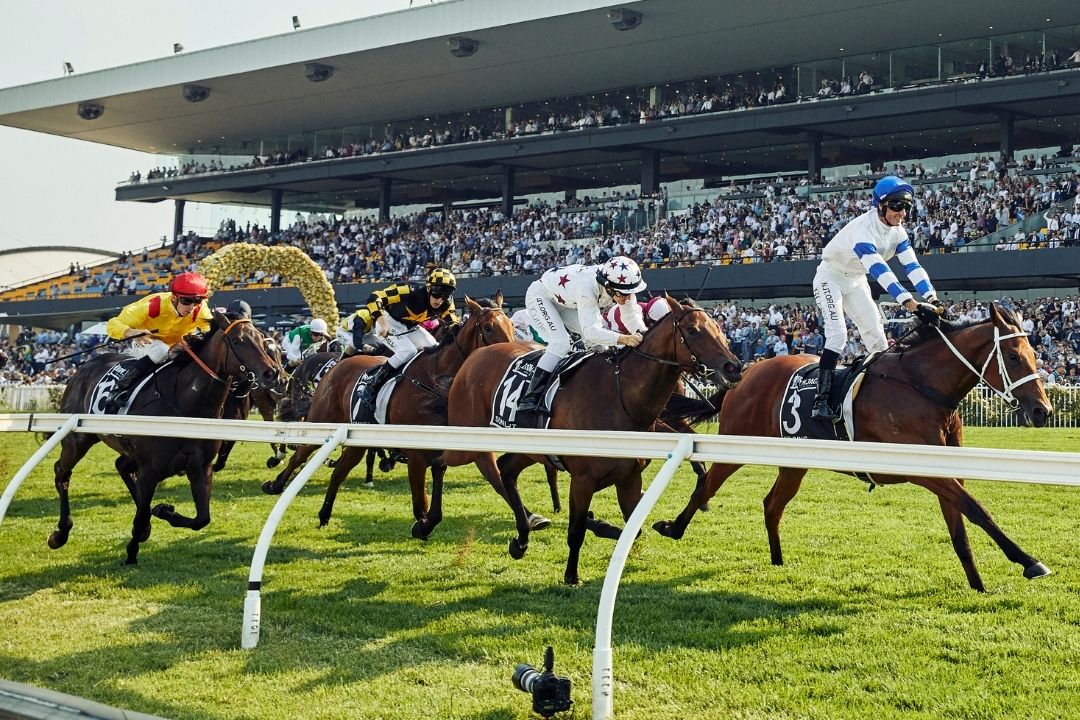 Guide to the Ultimate Day at Rosehill Racecourse | AT Parramatta